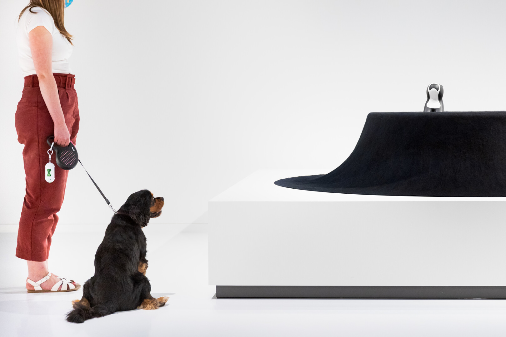 Architecture for Dogs – Japan House London