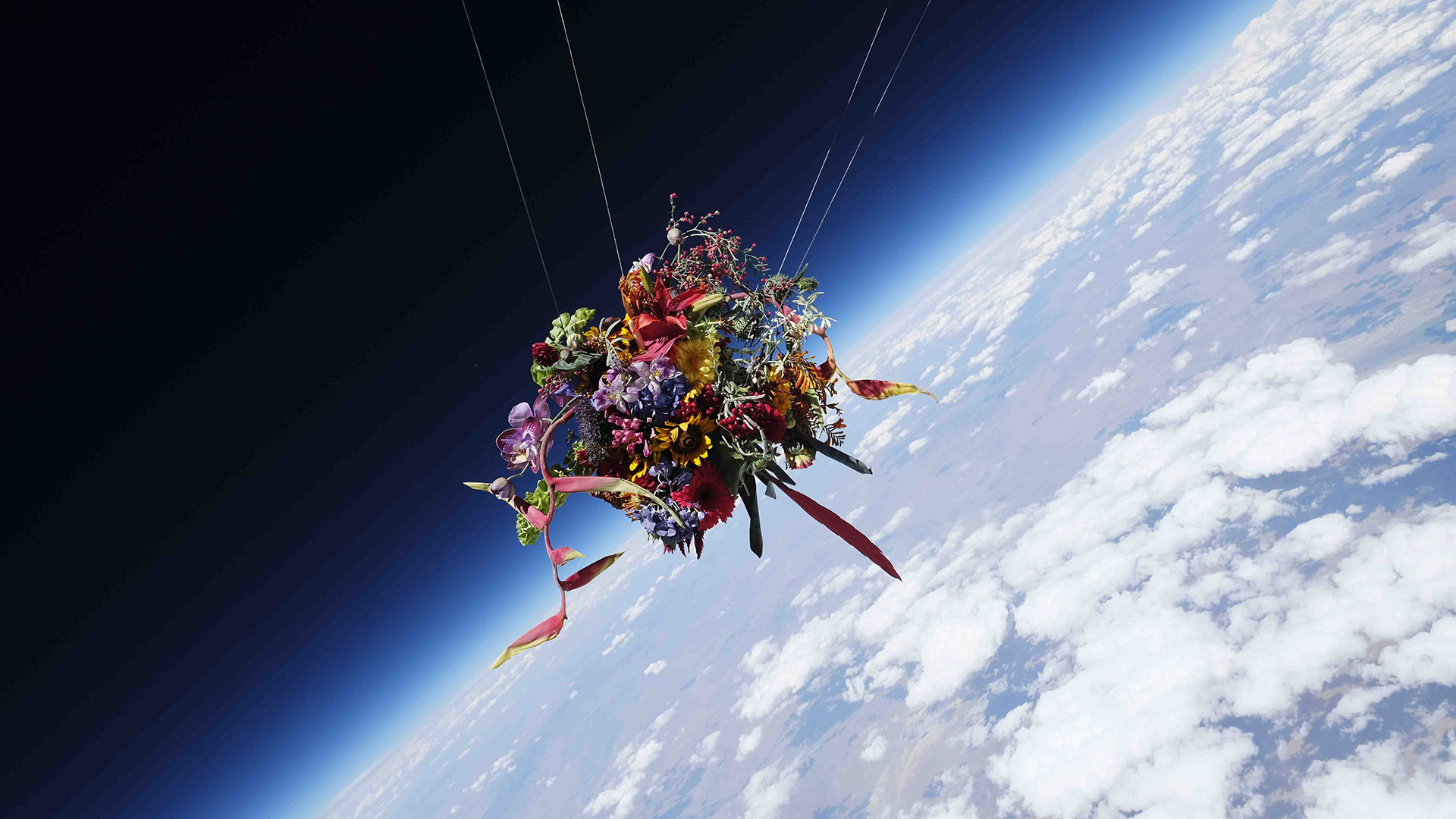 Life and works of Japanese flower artist Azuma Makoto - Japan House London